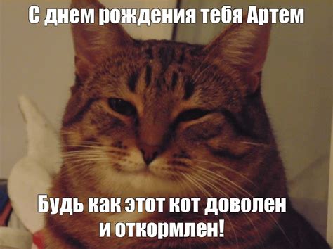 Мем: "С днем рождения тебя Артем Будь как этот кот доволен и откормлен ...