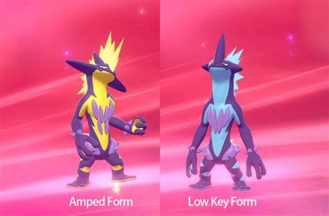 Pokémon Sword and Shield How to evolve Toxel and the differences between Toxtricity forms iMore