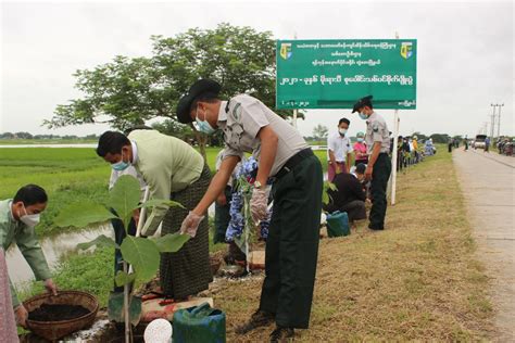 ဒလမြို့နယ်၌ မိုးရာသီစုပေါင်း သစ်ပင်စိုက်ပျိုးပွဲကျင်းပ Information And Public Relations Department