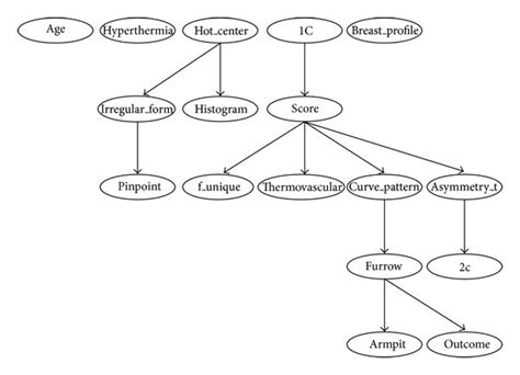 bayesian network built by procedure of hill climber using the 98 case download scientific