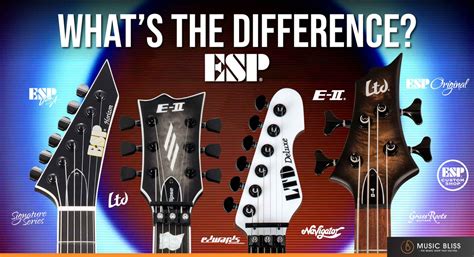 Whats The Difference Between Esps Brands Music Bliss Malaysia