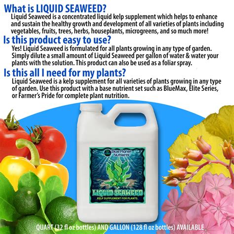 Liquid Kelp Seaweed Fertilizer Concentrate Gallon Blue Planet