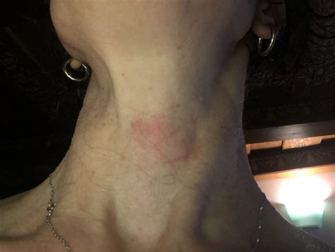 Bewit C60 Unique Duo Bewitlove Bewitlove