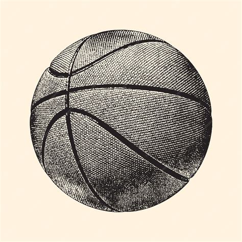 Croquis Réaliste Ballon De Basket Vector Illustration Vintage Vecteur