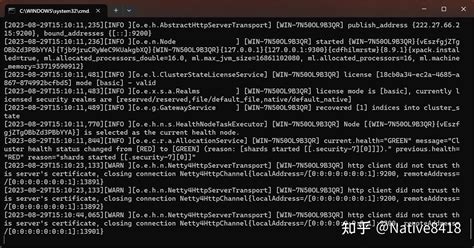 一小时实践入门 Elasticsearch—分布式搜索与分析引擎（一） 知乎