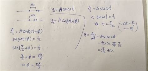 woloni di puluuu 17 two particles execute shm of the same amplitude