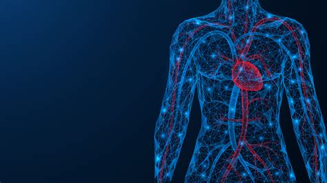 Любопитни и малко известни факти за човешкото тяло Nova Bg