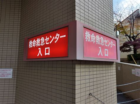お騒がせ II お昼寝マンボウの日記