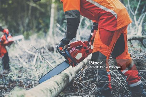 전기톱을 들고 나무를 베는 사람 직장에서 목재 잭은 주황색 개인 보호 장비를 착용합니다 숲에서 야외에서 일하는 정원사 보안 전문성 직업 임업 노동자 개념 수목 재배가에 대한