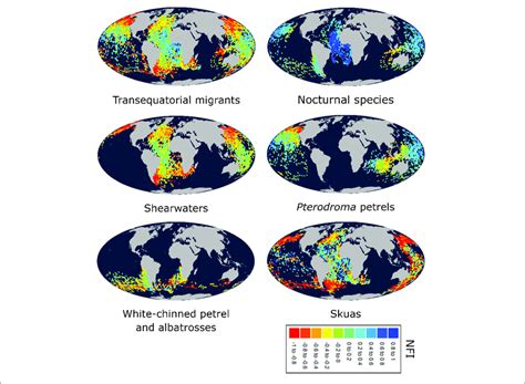 Map Of The Night Flight Index Nfi Throughout The Non Breeding Download Scientific Diagram