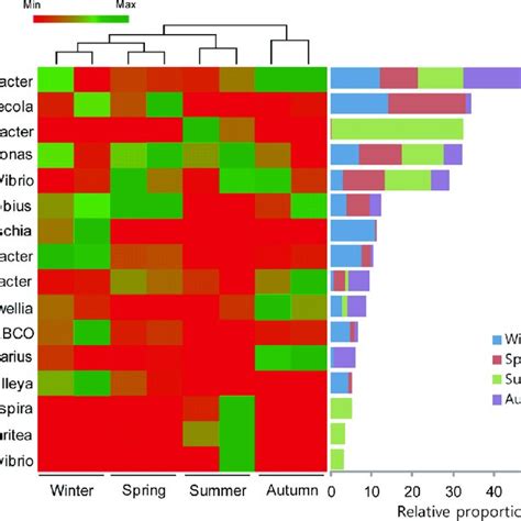Heat Map Showing The Relative Abundances And Distribution Of