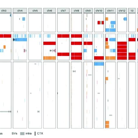 Copy Number Profiles Cluster Tumors Into Three Groups Reflecting Download Scientific Diagram