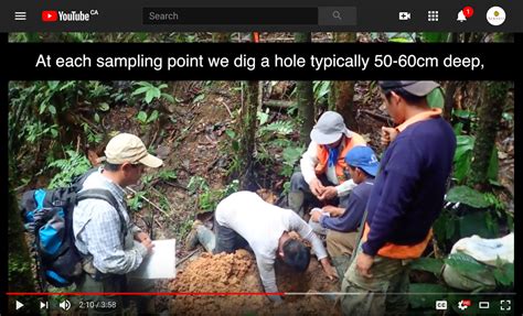Soil Sampling And Provisional Analysis Aurania Resources