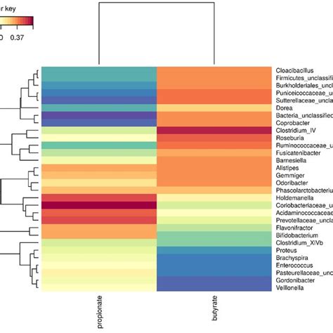 heatmap representation of a sparse partial least squares spls