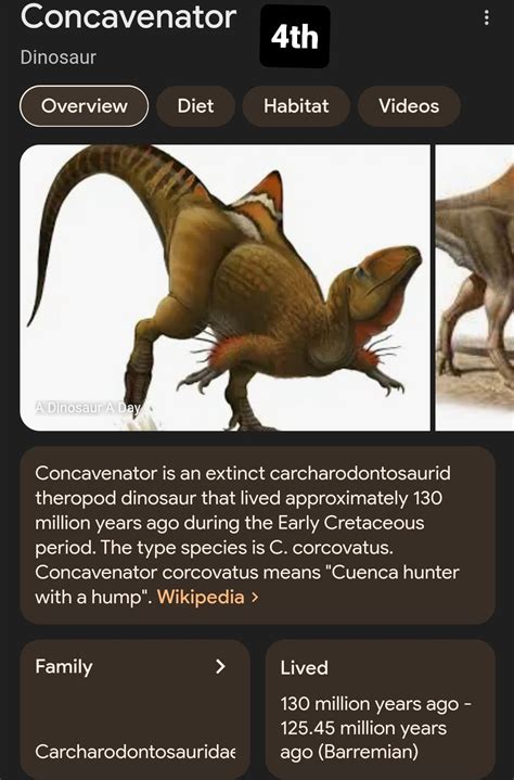 My Top 10 Favorite Dinosaurs Whats Yours R Dinosaurs