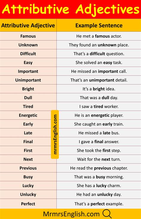 Attributive Adjectives Examples Sentences In English With Pictures Mr Mrs English