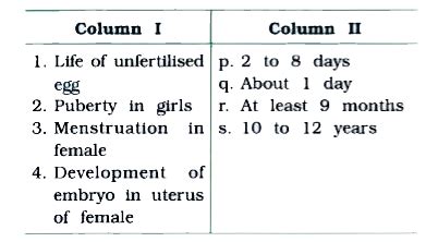 Gujrati Solution Match The Following