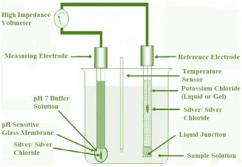 Ph Meter Principle Parts Types Procedure Calibration Application Examples Biology