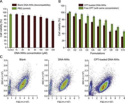 Biocompatibility And Cytotoxicity Assay Of Blank And Cpt Loaded Dna Nw
