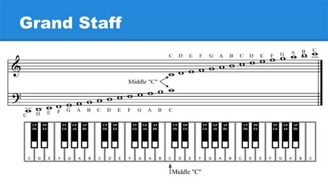 What Is The Highest Pitch Note At Kayla Chirnside Blog