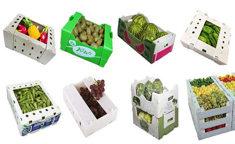 Bulk Pp Corrugated Vegetable Box Packaging Coroplast Box Factory