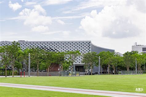 南方科技大学图片浏览 南方科技大学图片下载 酷吧图库