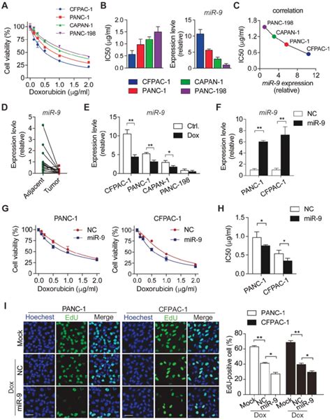 Mir 9 Enhances Doxorubicin Sensitivity In Pdac Cells A Pdac Cells