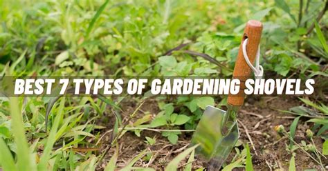 Popular 7 Types Of Gardening Shovel And Their Uses