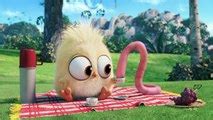 The Angry Birds Movie Opening Scene Dailymotion Video