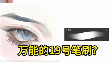 Procreate的万能19号笔刷不会还有人没用过吧！一支可以从头画到尾的神仙笔刷！附笔刷 制作过程、procreate笔刷