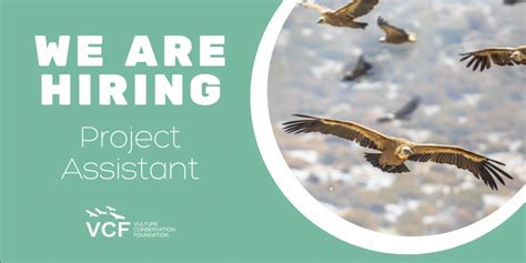 We Are Hiring A Project Assistant Vulture Conservation Foundation