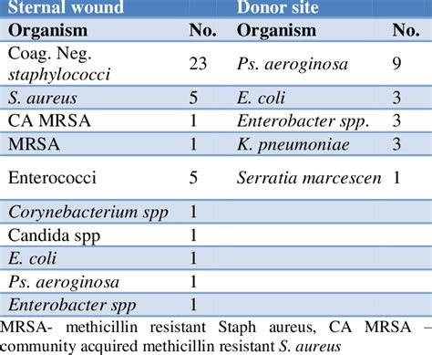 Microorganisms Isolated In Surgical Site Download Scientific Diagram
