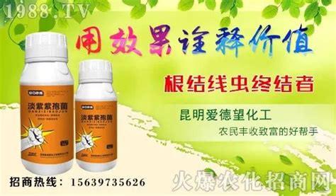 根结线虫，化学药剂越来越难防！高手都用这个秘方，干净彻底！ 搜狐大视野 搜狐新闻