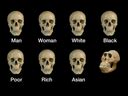 Greedy Pipe Man Meme Generator