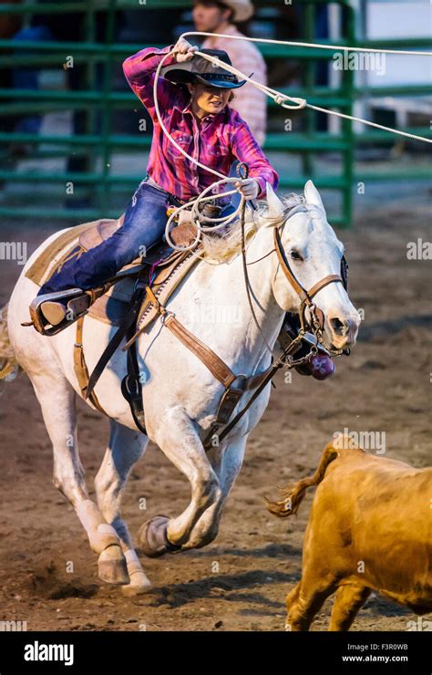 Rodeo Cowgirl On Horseback Competing In Calf Roping Or Tie Down Roping