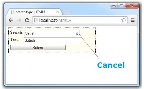 Form Input Type Search Html5