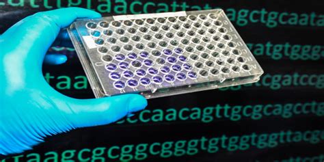 DdNTP Full Form What Is The Full Form DdNTP