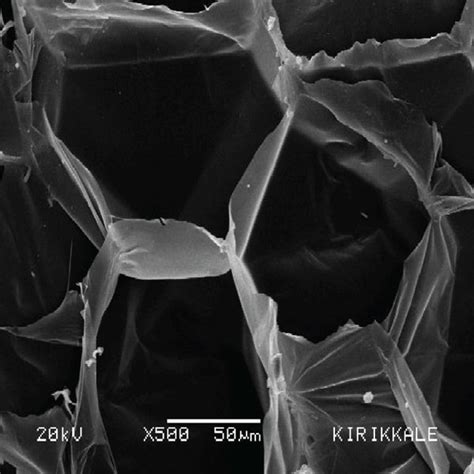 X500 Microstructure Image For The Expanded Polystyrene A 16 Kg M³ Download Scientific