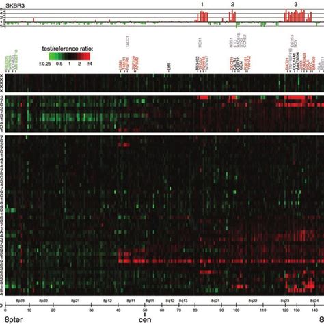Concordance Between DNA Copy Number And Gene Expression Across Download Scientific Diagram