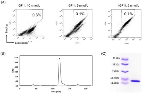 Affinity Maturation Of The Ead By Random Mutagenesis And Yeast Display Download Scientific