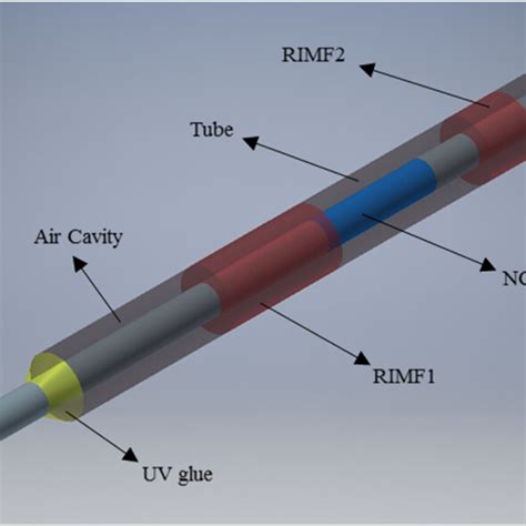 Proposed Optical Fiber Sensor Structure Download Scientific Diagram