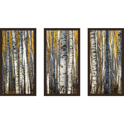 Birch Trees 3 Framed Plexiglass Wall Art Set Of 3 On Sale Bed
