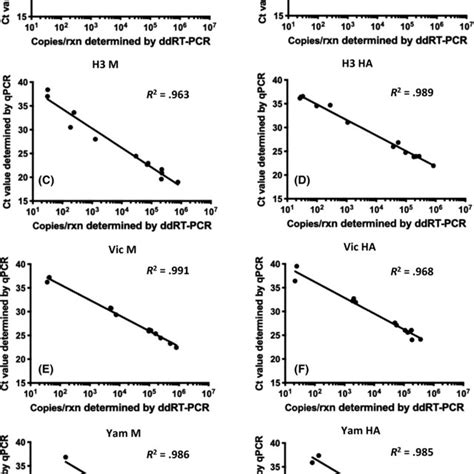 Linear Regression Between Ct Values From Qrt‐pcr And Copies Per