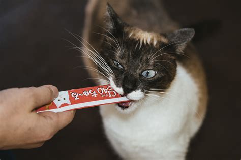 Objective C Auto Property Synthesis Will Not Synthesize Property