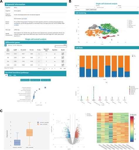 Detailed Information Page Of A Single Cell Rna Seq Dataset Example A Download Scientific