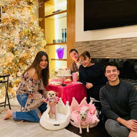 Sofia Vergara Shares Photos Of Her Gold Christmas Tree