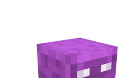 Squid Face By Cleverlike Minecraft Marketplace Via Bedrockexplorer Com
