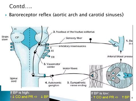 Anti Hypertensive Ppt