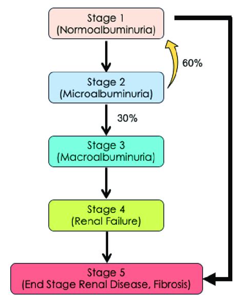 Diabetic Nephropathy Has A Progressive And Continuous Heterogenous