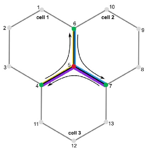 cell wall calculations during node movement node 5 is moved to a new